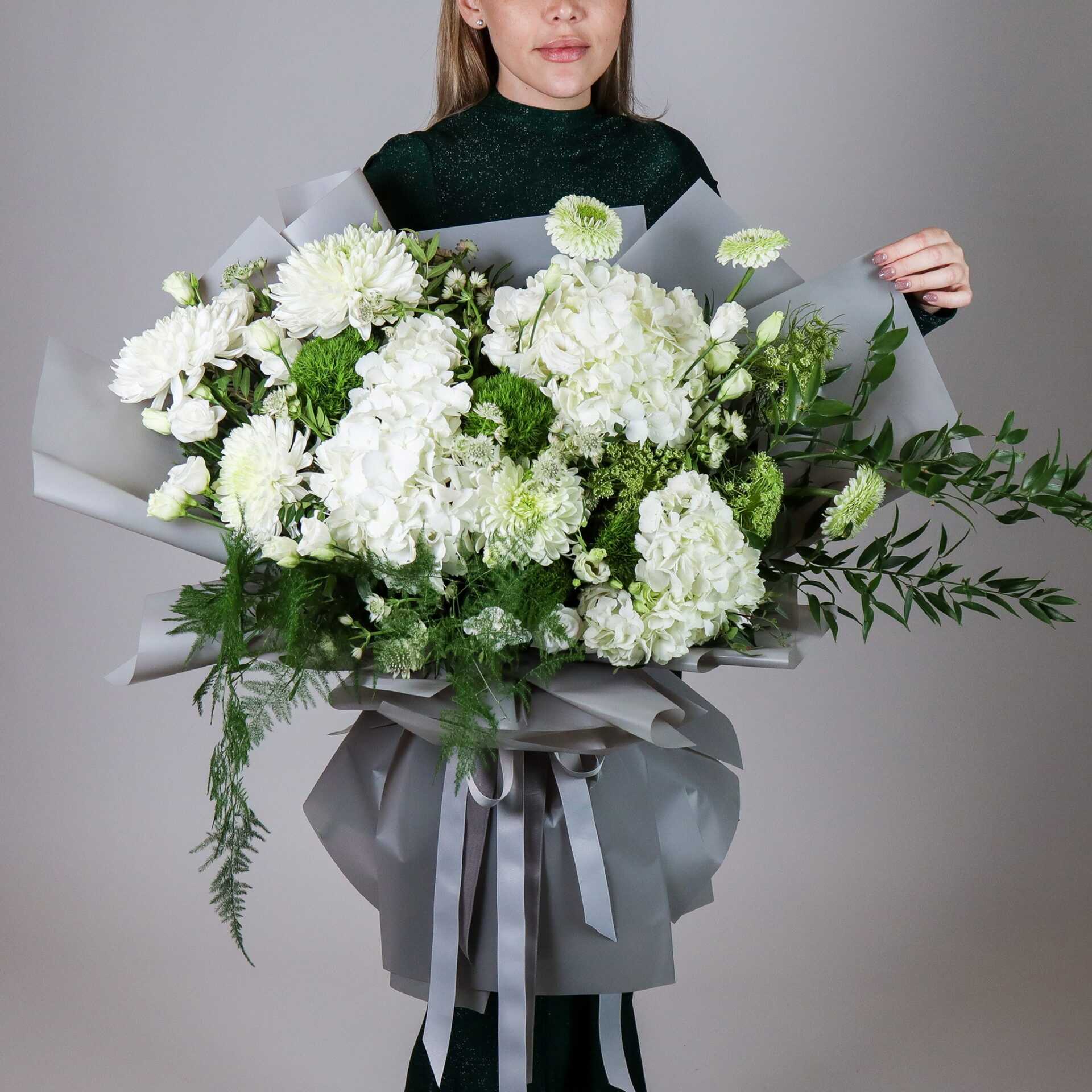 Single Phalaenopsis Orchid - Mayflower Studio