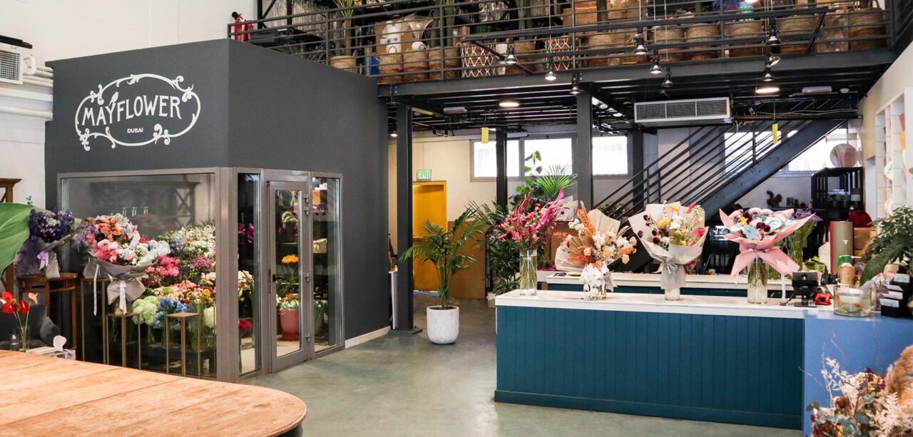 - Mayflower Studio