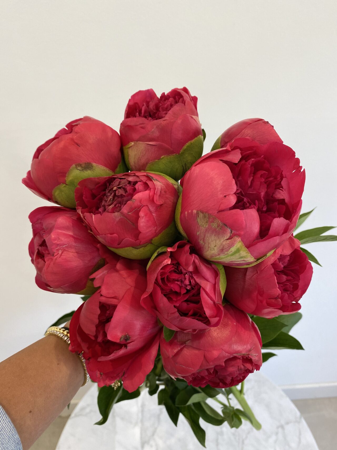 Command Performance Peonies - Mayflower Studio