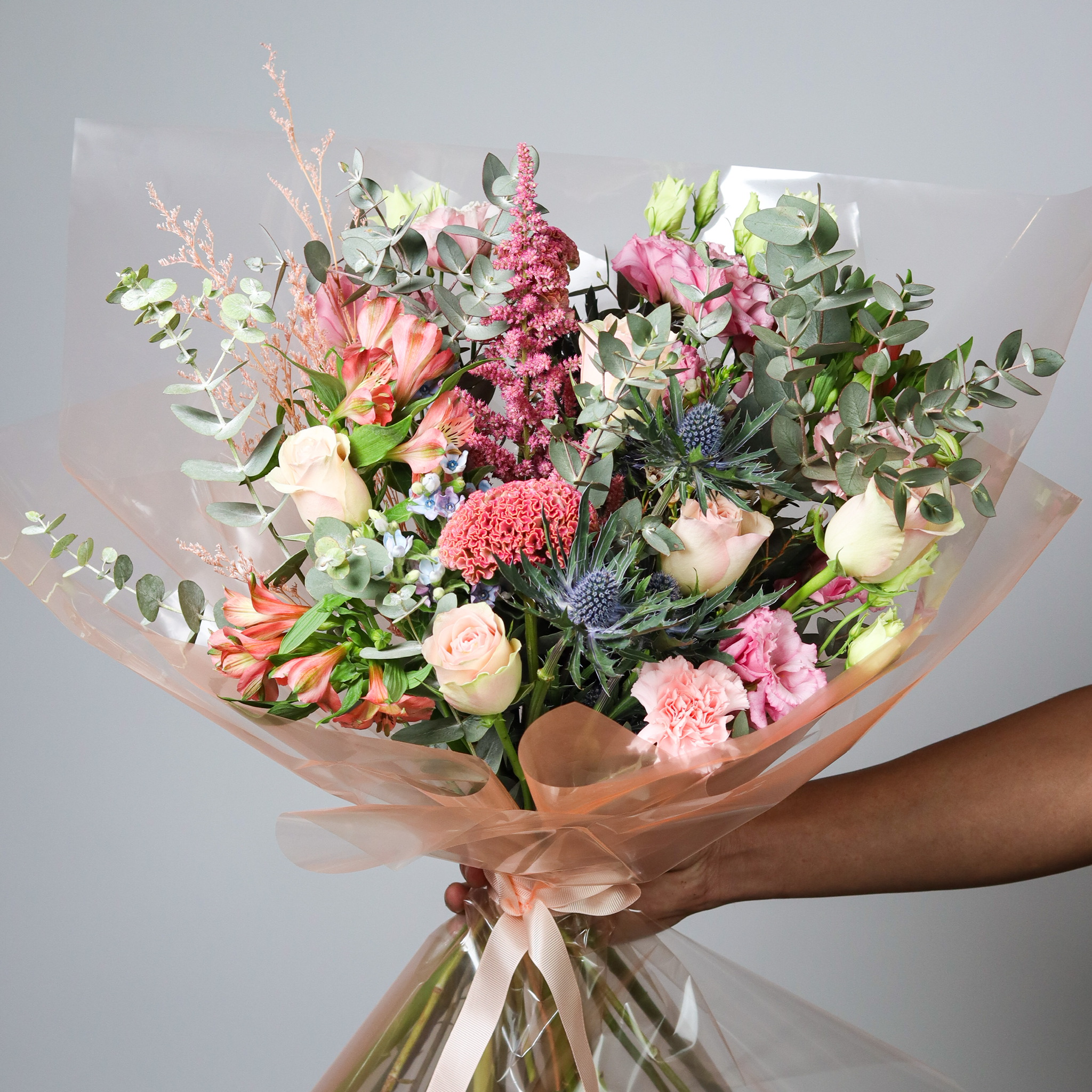 Chrysanthemum Marcela Pink - Mayflower Studio