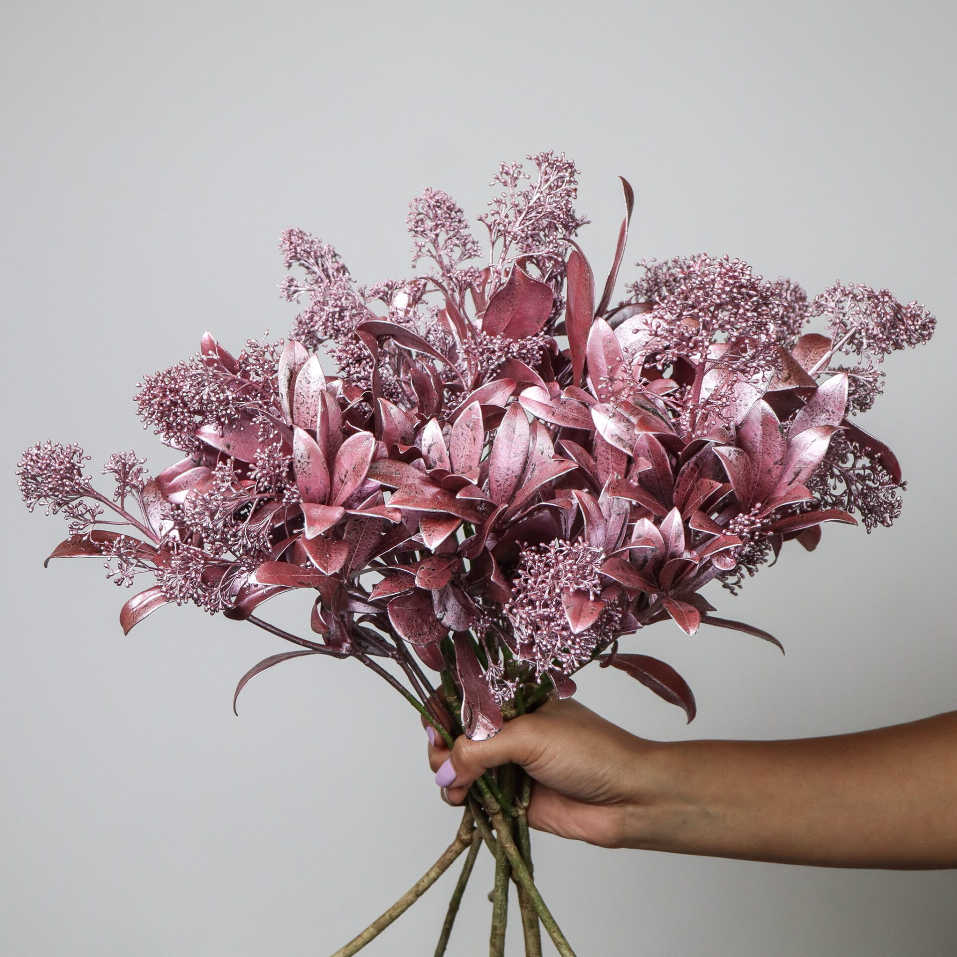 Skimmia Paint Pink Metallic - Mayflower Studio